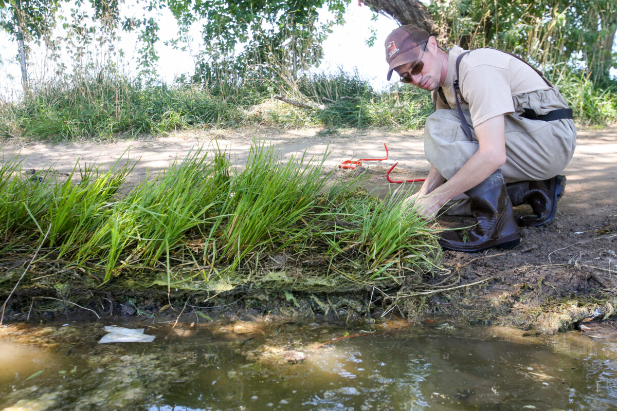 Officials work to keep Steed Pond, other waters, healthy | News, Sports ...